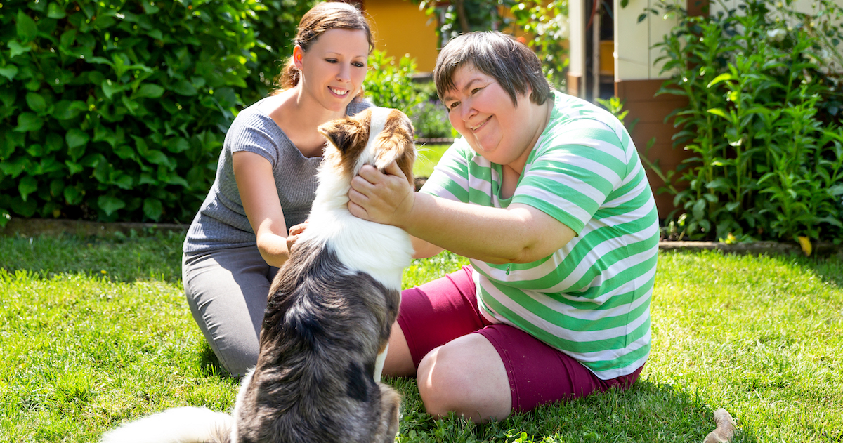 Aotearoa Disability Figures - Disability in Aoteroa